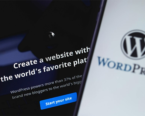 How Full-Stack WordPress Development is Transforming Businesses in 2025 - Alphasoft Limited